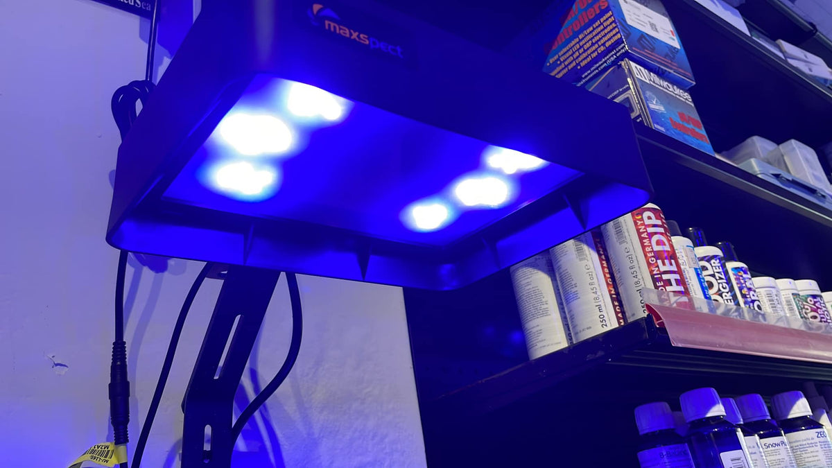 Diffuser Hood - for MJ-L165 – DE Aquatic