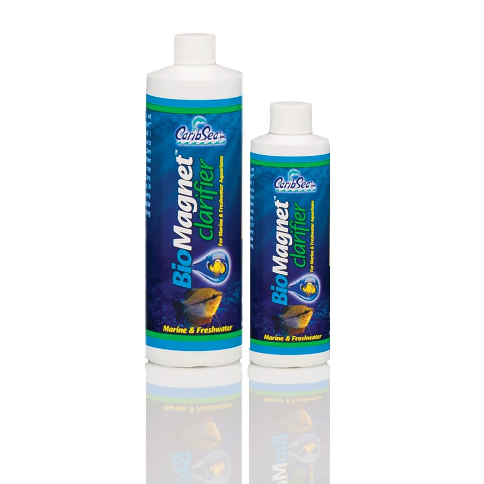 BioMagnet Clarifier, 8 oz. – DE Aquatic